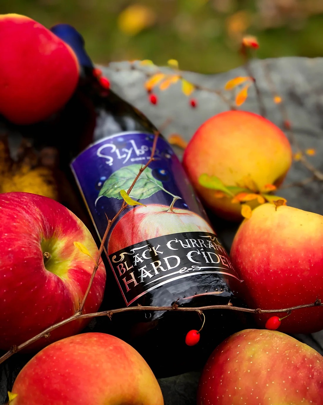 Hicks Orchard & Slyboro Ciderhouse – County Bounty Tour